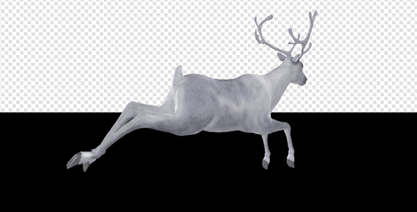 White Reindeer - Jump Run Loop - Back Angle View, Motion Graphics ...