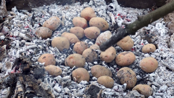 Baked Potato In a Fire, Stock Footage | VideoHive
