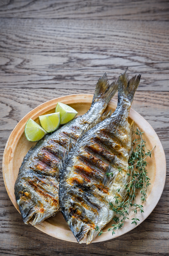 Grilled Dorade Royale Fish Stock Photo by Alex9500 | PhotoDune