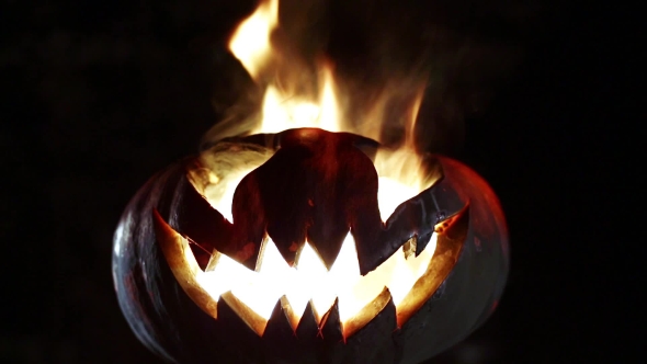 Burning Pumpkin On Halloween. Looped, Stock Footage | VideoHive