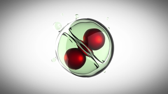 Rotate Cell Division, Motion Graphics | VideoHive