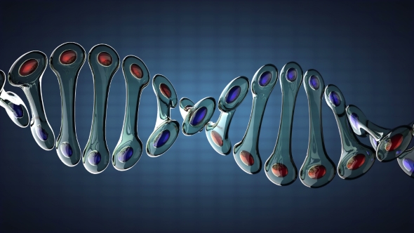DNA Model Rotate, Motion Graphics | VideoHive
