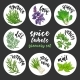 Spices Herbs Labels, Vectors | GraphicRiver