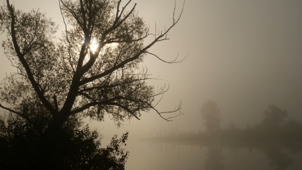 The Morning Smoke At Beautiful Sunrise, Stock Footage | VideoHive