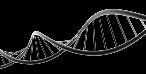 DNA Loop, Motion Graphics | VideoHive