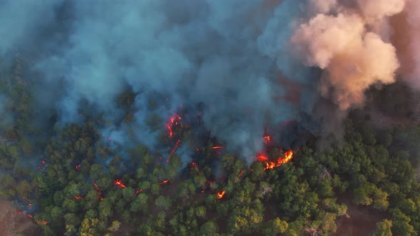 Aerial View Forest Fire, Stock Footage | VideoHive