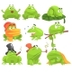 Green Frog Character Set, Vectors | GraphicRiver