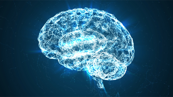 Plexus Brain Rotation, Motion Graphics | VideoHive