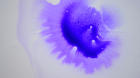 Beautiful Spreading Purple Ink Drops, Stock Footage | VideoHive