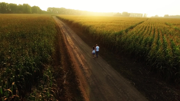 Couple Runs Between Wheat Fields, Stock Footage | VideoHive