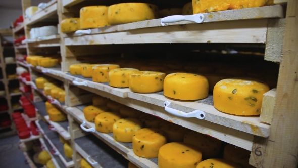 Cheese Storage In Warehouse, Stock Footage | VideoHive