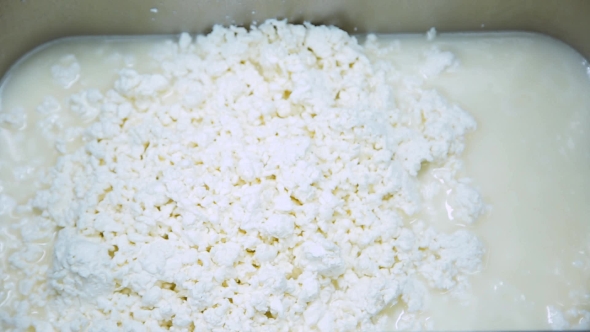 Fresh Natural Curd, Stock Footage | VideoHive
