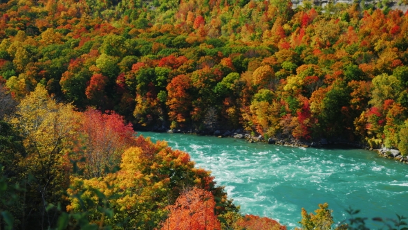 Niagara River Flows Along The High Rocky Coast Covered Autumn Forest ...