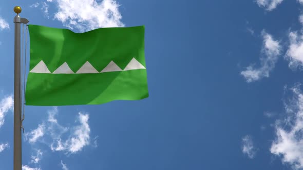 Salinas City Flag (Puerto Rico) On Flagpole, Motion Graphics | VideoHive