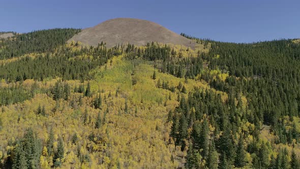 Fall foliage at Boreas Pass, CO, Stock Footage | VideoHive
