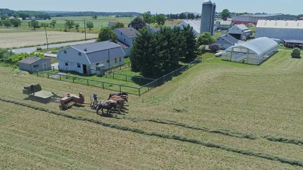 Aerial View of an Amish Farmers with Five Horses Harvesting His Crops ...