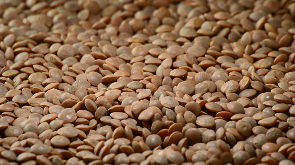 Raw Lentils Legumes Vegetables, Stock Footage | VideoHive