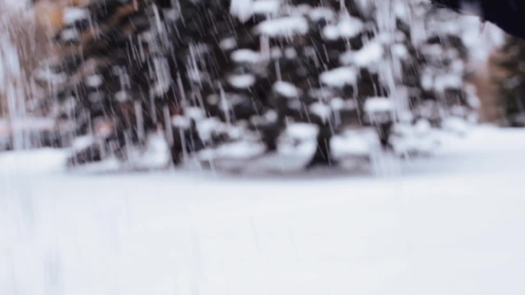 Hand Pouring Snow in Winter Forest, Stock Footage | VideoHive