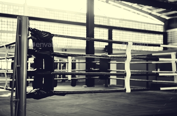 Boxing RIng Arena Stadium Fighting Competitive Sport Concept Stock ...