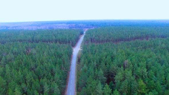 Dense Forest with Swamp and High Voltage Power Lines. Aerial Top View ...