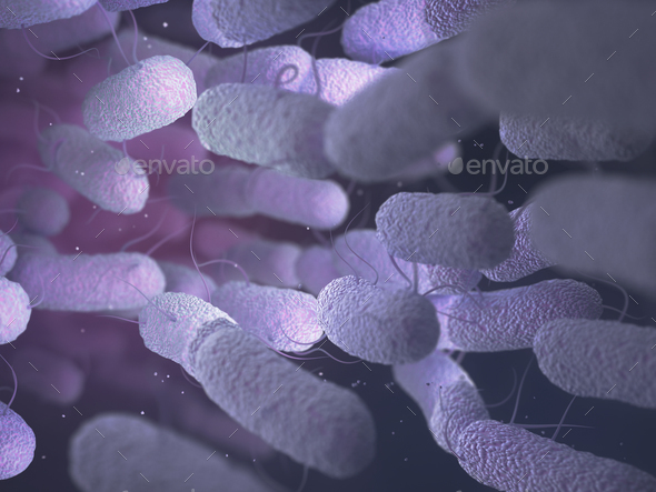 Enterobacteriaceae Bacteria Family Stock Photo by ktsimage | PhotoDune