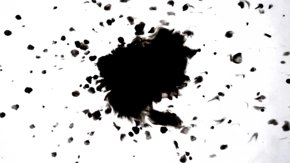 Drops of Black Ink on White Paper Drip, Stock Footage | VideoHive