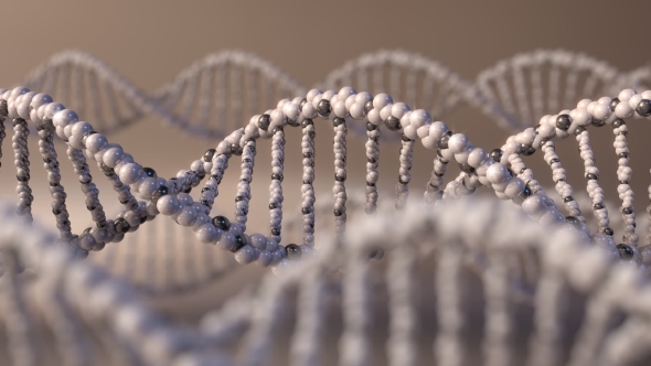 Multiple Spinning Brown DNA Molecules, Motion Graphics | VideoHive