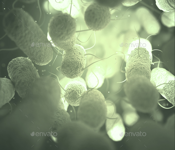 Enterobacteriaceae Bacteria Family Stock Photo by ktsimage | PhotoDune
