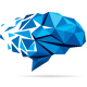 Data Brain Polygon Logo, Logo Templates | GraphicRiver