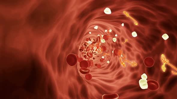 Blood, Motion Graphics | VideoHive