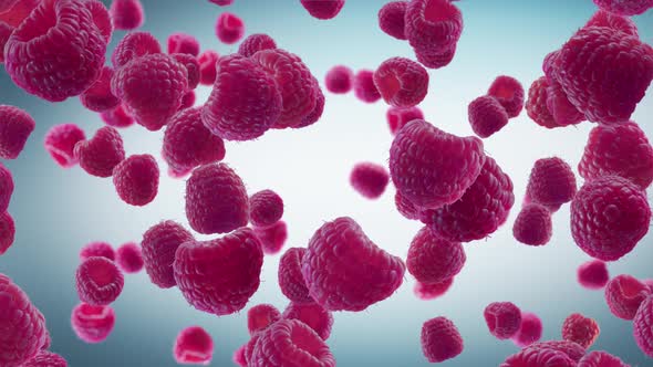 Raspberries Falling on Cyan Background, Motion Graphics | VideoHive