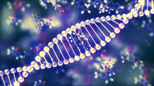 DNA, Motion Graphics | VideoHive