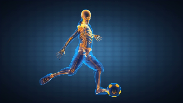 Soccer Game Player, Motion Graphics | VideoHive