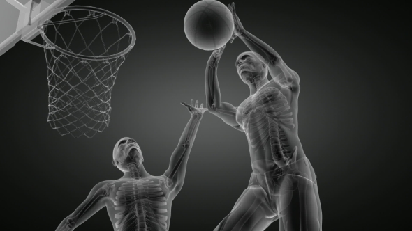 Basketball Game Player, Motion Graphics | VideoHive