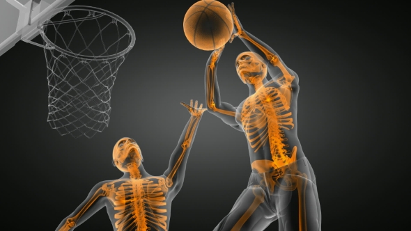 Basketball Game Player, Motion Graphics | VideoHive