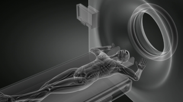 MRI Examination Medical Scan, Motion Graphics | VideoHive