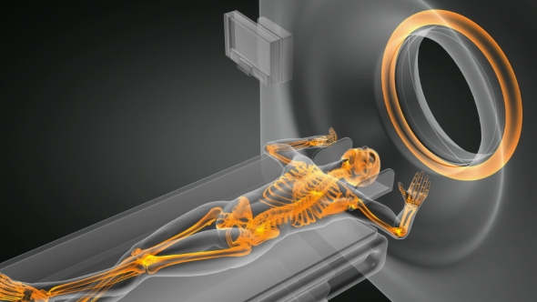MRI Examination Medical Scan, Motion Graphics | VideoHive