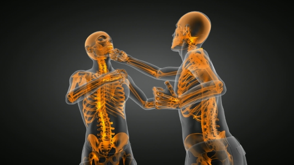 Loop Boxing Men, Motion Graphics | VideoHive