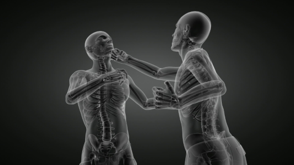 Loop Boxing Men, Motion Graphics | VideoHive