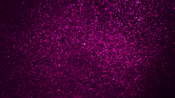 Purple Particles, Motion Graphics | VideoHive