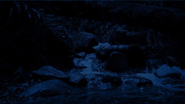 Moving Past A Forest Stream At Night, Stock Footage | VideoHive