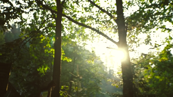 Morning Glimpse, Stock Footage | VideoHive