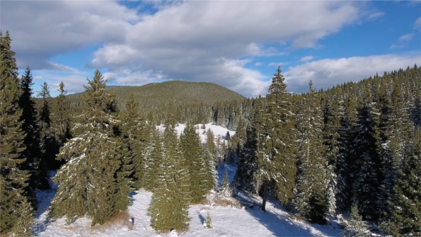 Winter Picture Aerial View, Stock Footage | VideoHive