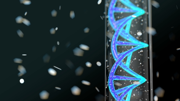 Animated DNA Chain, Motion Graphics | VideoHive