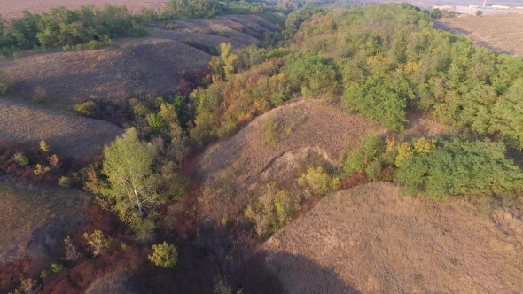 Hilly Ravine with Autumn Trees, Bushes and Grass. Aerial View, Stock ...