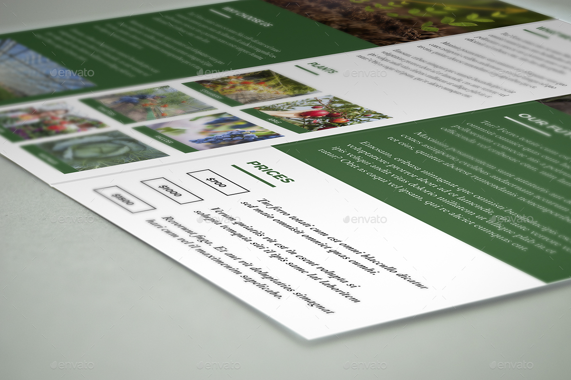 Trifold Plant Brochure, Print Templates | GraphicRiver