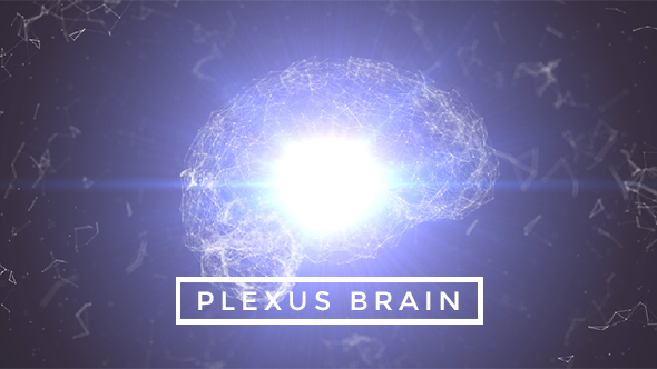 Plexus Brain Rotation #1, Motion Graphics | VideoHive