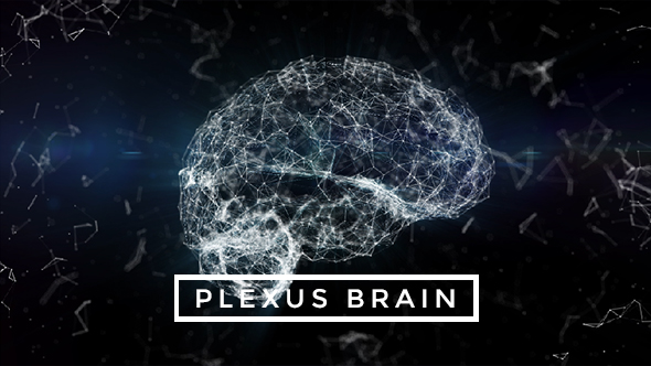 Plexus Brain Rotation #2, Motion Graphics | VideoHive