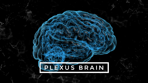 Plexus Brain Rotation #5, Motion Graphics | VideoHive