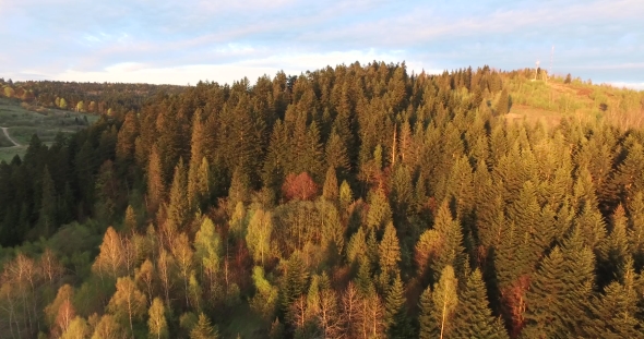 Sunset Over the Forest. Aerial View, Stock Footage | VideoHive